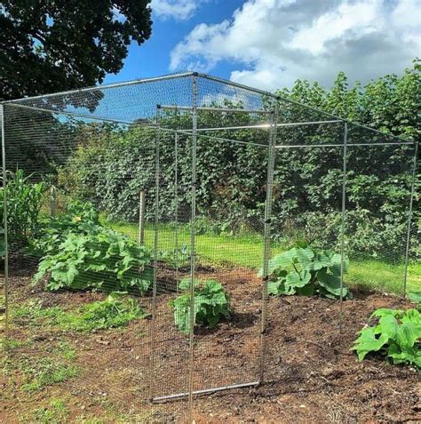Walk In Fruit And Vegetable Cages With Doors Gardening Naturally