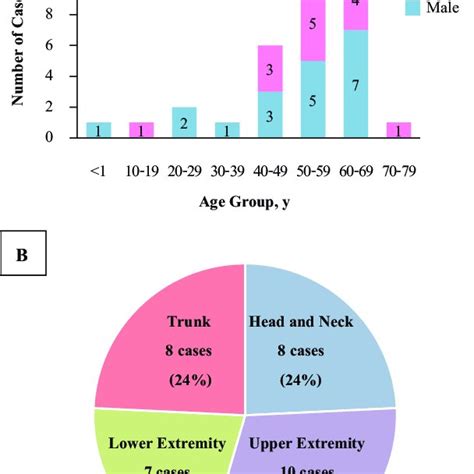 Age With Sex Distribution A And Anatomical Location B Of 33 Cases Download Scientific