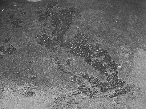 Significant Variation In Surface Scaling Download Scientific Diagram