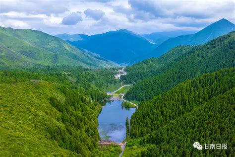 【五无甘南 十有家园】夏河：生态画卷入“木”来澎湃号·政务澎湃新闻 The Paper