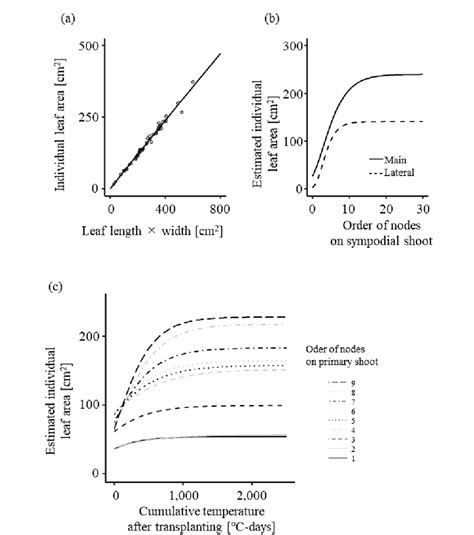 Leaf Area Estimation Models A Allometric Relationship Between Leaf