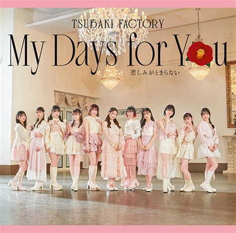 Daisuki Na No Ni Daisuki Dakara Hello Project Lyrics Wiki Fandom