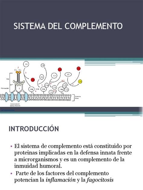 Inmunologia Sistema Del Complemento Pdf Sistema Complementario Sistema Inmune