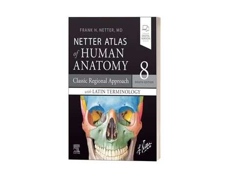 Netter Atlas Of Human Anatomy A Systems Approach 8th Edition 2023 Pdf