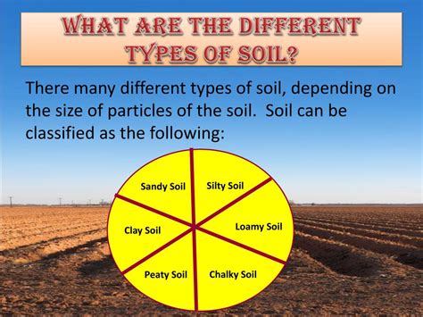 PPT ROCKS AND SOIL PowerPoint Presentation Free Download ID 1561287