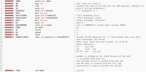 Slae 32 Assignment 5 Bufferoverflowed