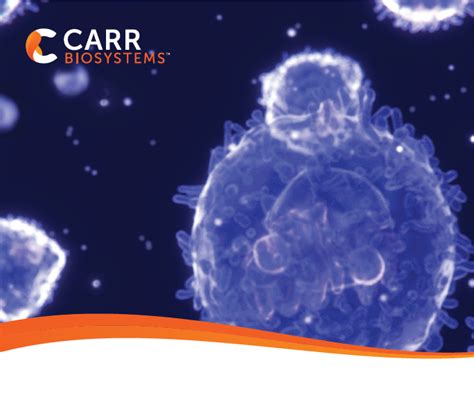 Achieving Optimal Cell Harvest For Allogeneic Therapies With Purpose Built Harvest Technologies
