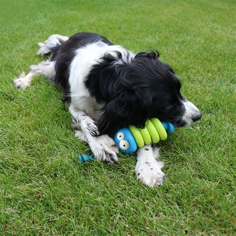 Coockoo Larry Lime Lime Laroy Group