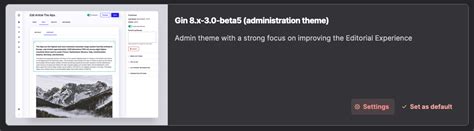 Specific Settings Within Gin Gin Admin Theme Drupal Wiki Guide On