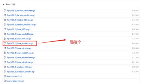 服务器安装frp时报错frps Cannot Execute Binary File Exec Format Error Csdn博客