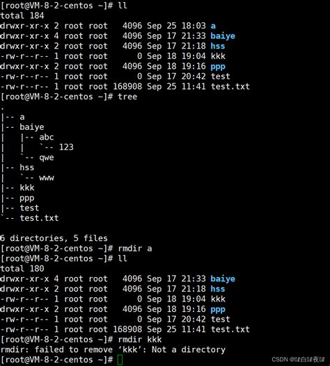 Linux常见指令（二）（上） 阿里云开发者社区