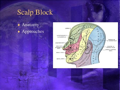 Ppt Regional Anesthesia Powerpoint Presentation Free Download Id 193944