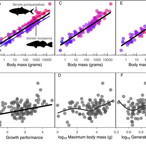 Relationships Between Resting Metabolic Rate Rmr Measurement Body Download Scientific
