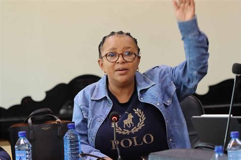 Anc And Hawks Investigating Corruption Accused Premier