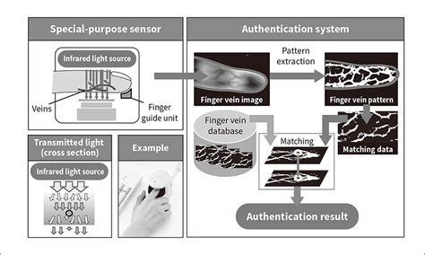What Is Finger Vein Authentication How It Help On Fingerprint Issues