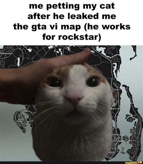 Sussex Memes Best Collection Of Funny Sussex Pictures On Ifunny