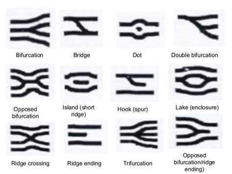 Pattern Recognition Fingerprints