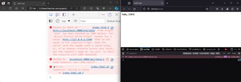 Cors ใน Nodejs Borntodev เริ่มต้นเรียน เขียนโปรแกรม ขั้นเทพ