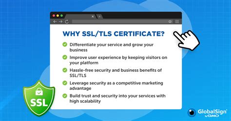 Types Of SSL Certificates To Secure Your Website
