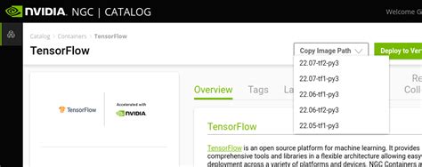 Download Container Images Aau Hpc