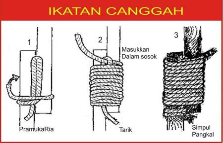 Jenis Jenis Ikatan Dalam Tali Temali ~ Pramuka Mts Linggalaksana