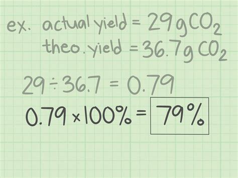 How To Do Percent Yield Today Hutomo