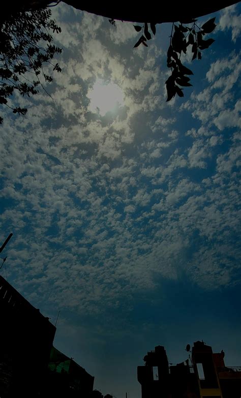 Rohit Bisht Fotografia