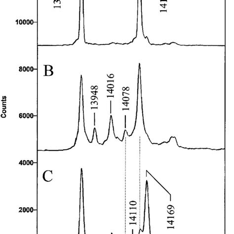 Malonyl Acp Synthesis By A Soluble Matrix Extract Of Pea Leaf