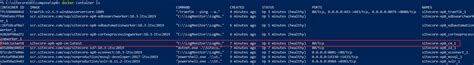 How To Access Sitecore Xm Docker Container From Another Machine Using