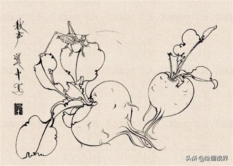 学习画白描很难？初学者画到一半就放弃，原来你没有掌握这些 每日头条