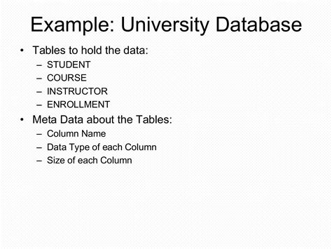 1 database management systems introduction pdf