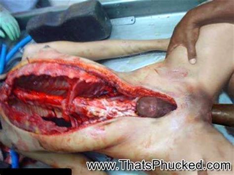 Fucking Dead Corpse Porn Videos