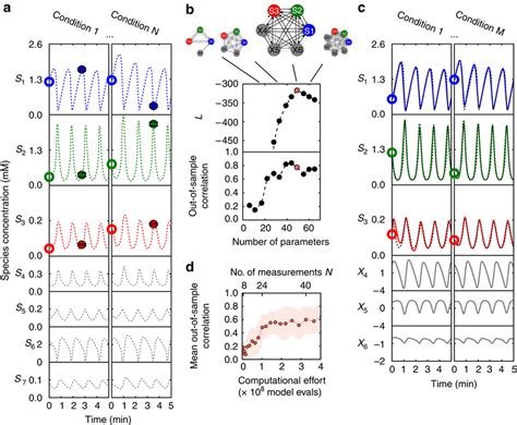 the model selection process using time course measurements of three download scientific diagram