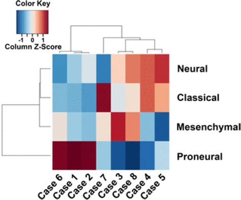 Calculate Z Score Gene Expression At Jesse Lombard Blog