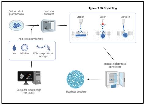 Three Dimensional Bioprinting For Retinal Tissue Engineering