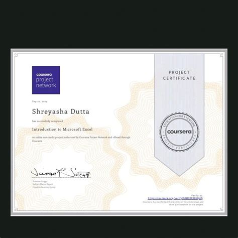 shreyasha d on linkedin excel dataanalysis continuouslearning