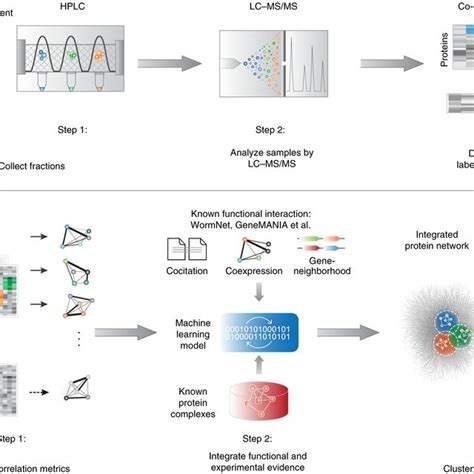 Epic Workflow A Cfms Experiments Have Three Main Steps Biochemical Download Scientific