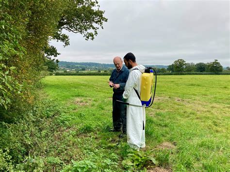 NPTC Installing Pesticide Plugs In Tree Stumps 155 Operating Hand Held Pesticide Stem