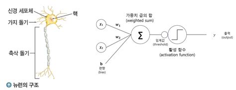 [딥러닝] 딥러닝 기초 인공신경망 artificial neural network 과 퍼셉트론 perceptron ①