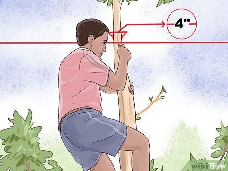 How To Free Climb A Tree With Pictures WikiHow
