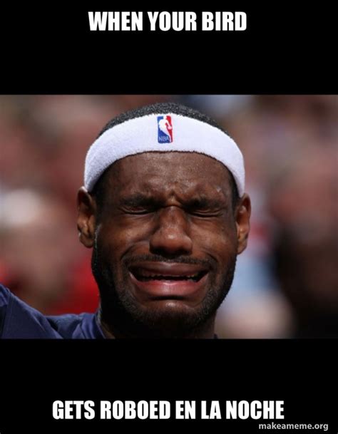 When Your Bird Gets Roboed En La Noche Lebron Crying Meme Generator