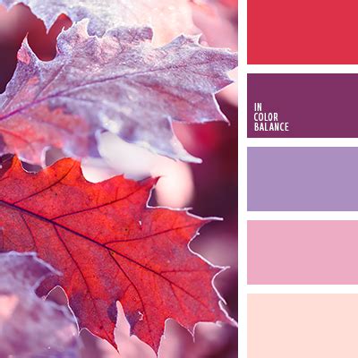 Color Morado In Color Balance