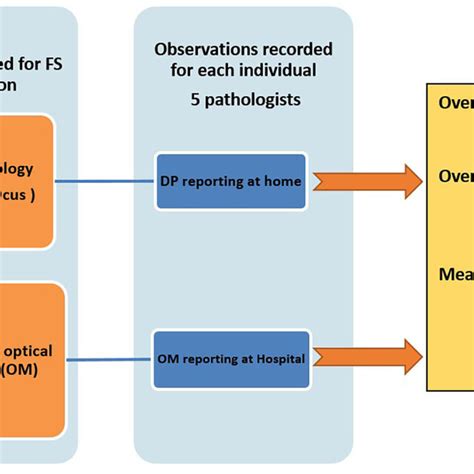 Workflow Design And Key Findings For The Remote Fs Validation Study Download Scientific Diagram Workflow Design And Key Findings For The Remote Fs Validation Study Download Scientific Diagram