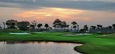 Saddlebrook Resort Palmer Course Wesley Chapel Florida Golf Course