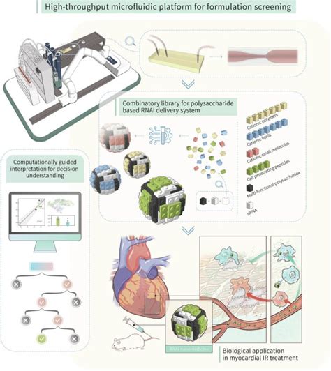 Developing Gene Delivery Cargos Using Microfluidic Screening