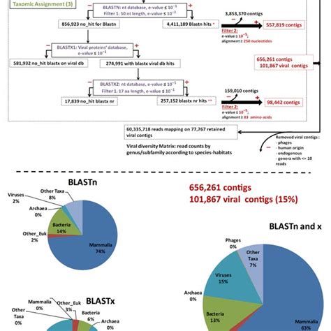 Main Bioinformatic Processing Steps Data Streams And Resulting Download Scientific Diagram