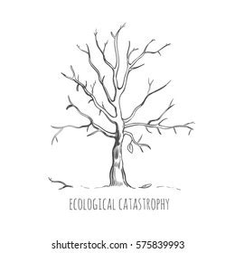 Tree Without Leaves Sketch Images Stock Photos Vectors Shutterstock