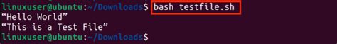 How To Run A Bash Script In Ubuntu 2204 Linuxways