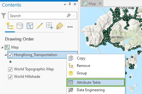 Using Common GIS Data Types In ArcGIS Pro