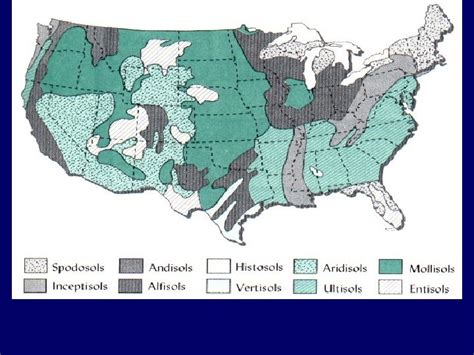 Soil Orders Study Guide Part I These Slides